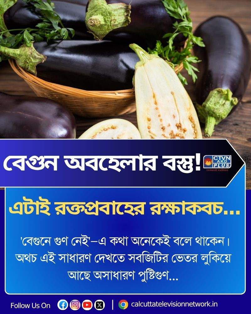 বেগুন অবহেলার বস্তু! এটাই রক্তপ্রবাহের রক্ষাকবচ... | eggplantbenefits ...